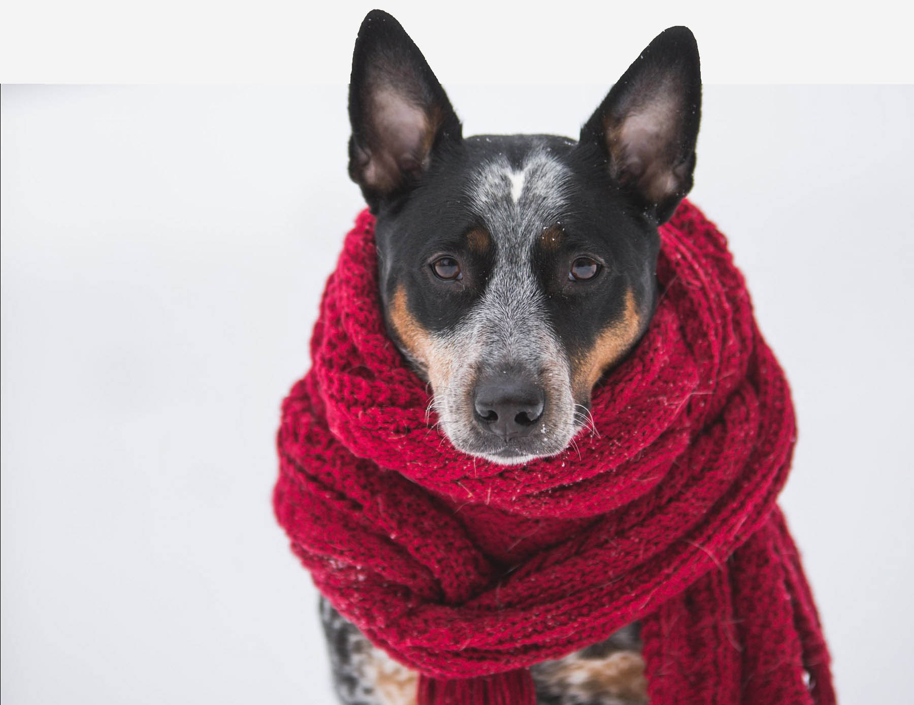 CHASE, LLC – workplace substance abuse prevention and detection ...