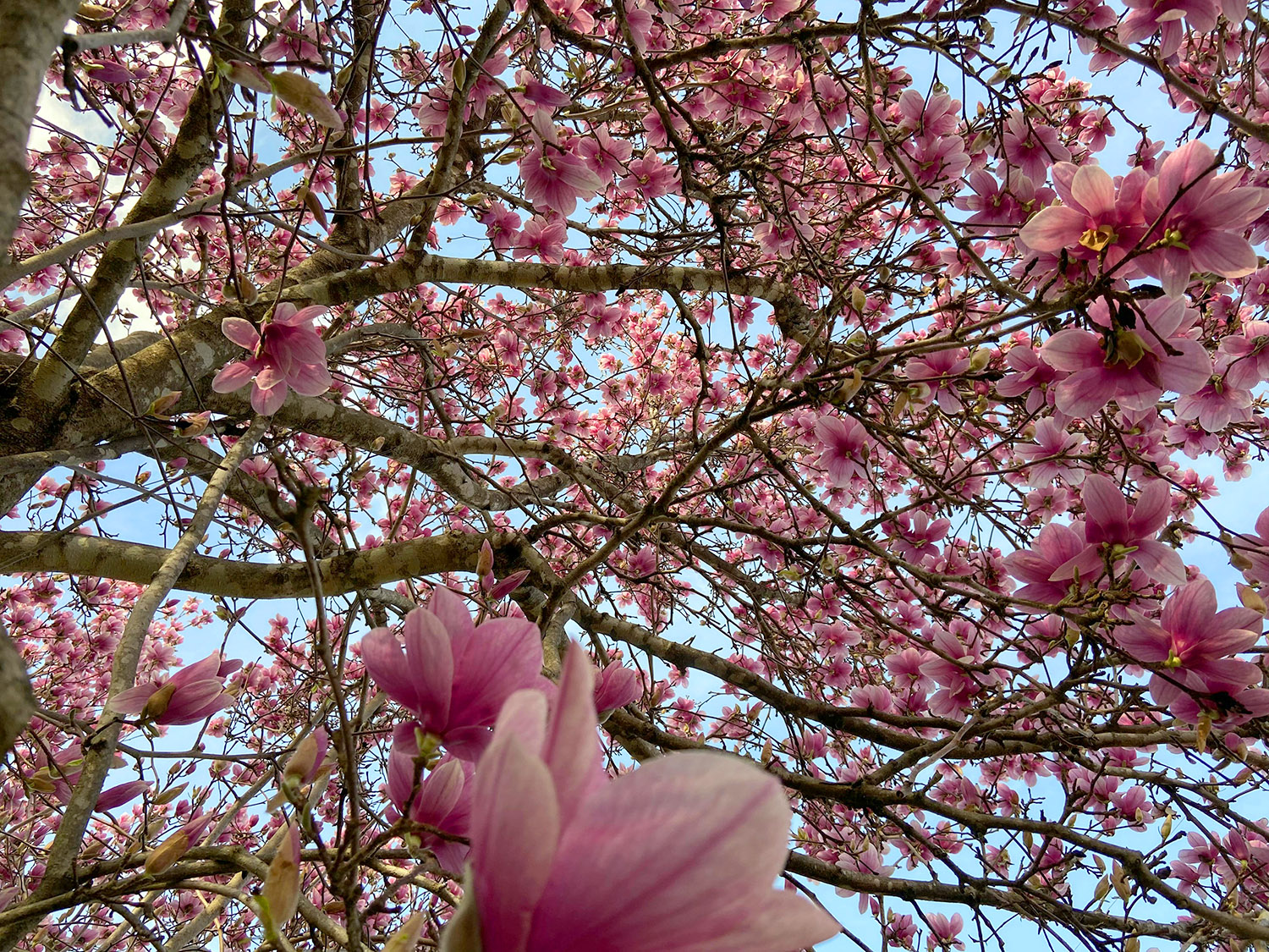 CHASE, LLC – workplace substance abuse prevention and detection ...